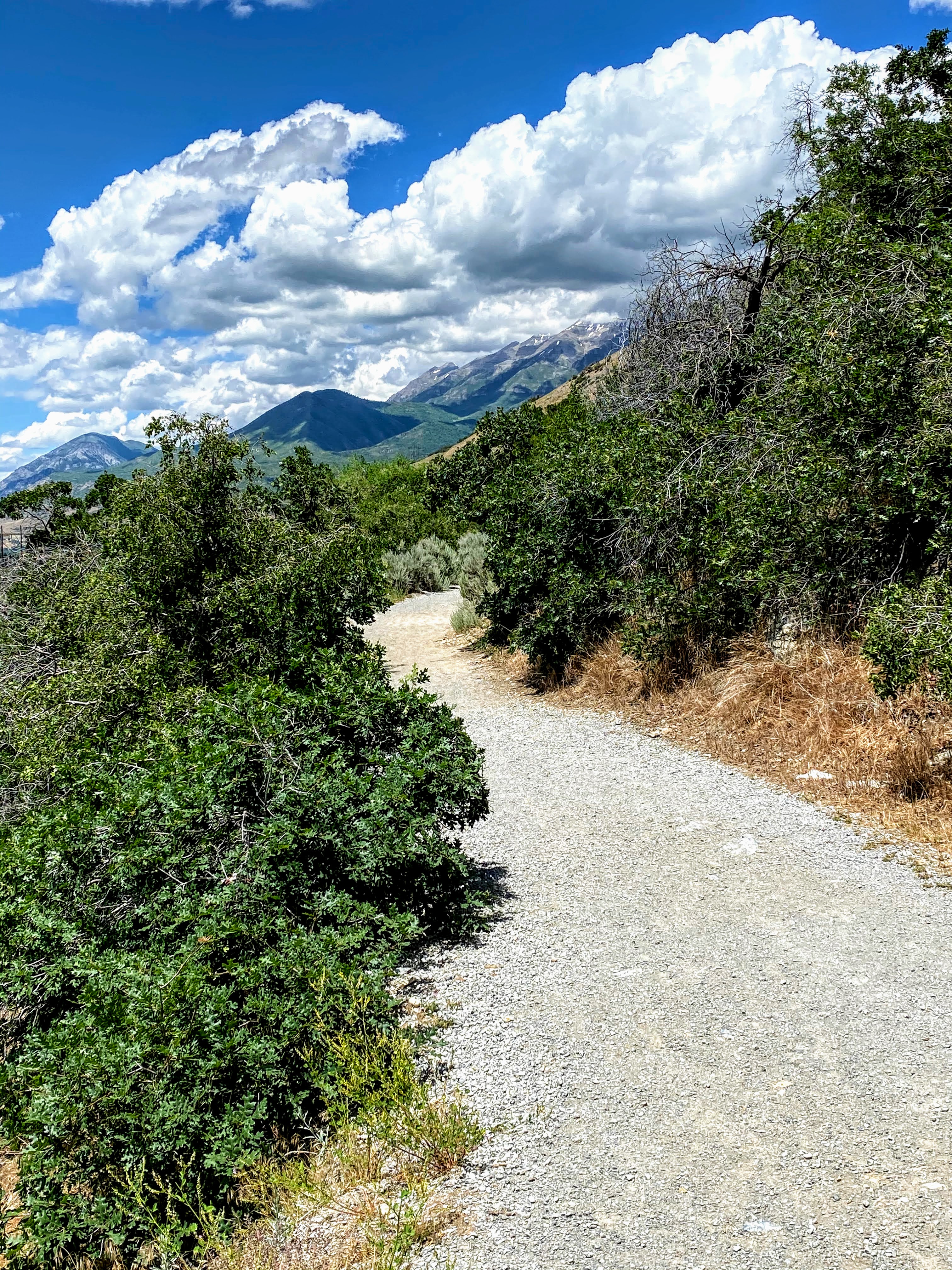 Walking Arizona: A Mountain Path