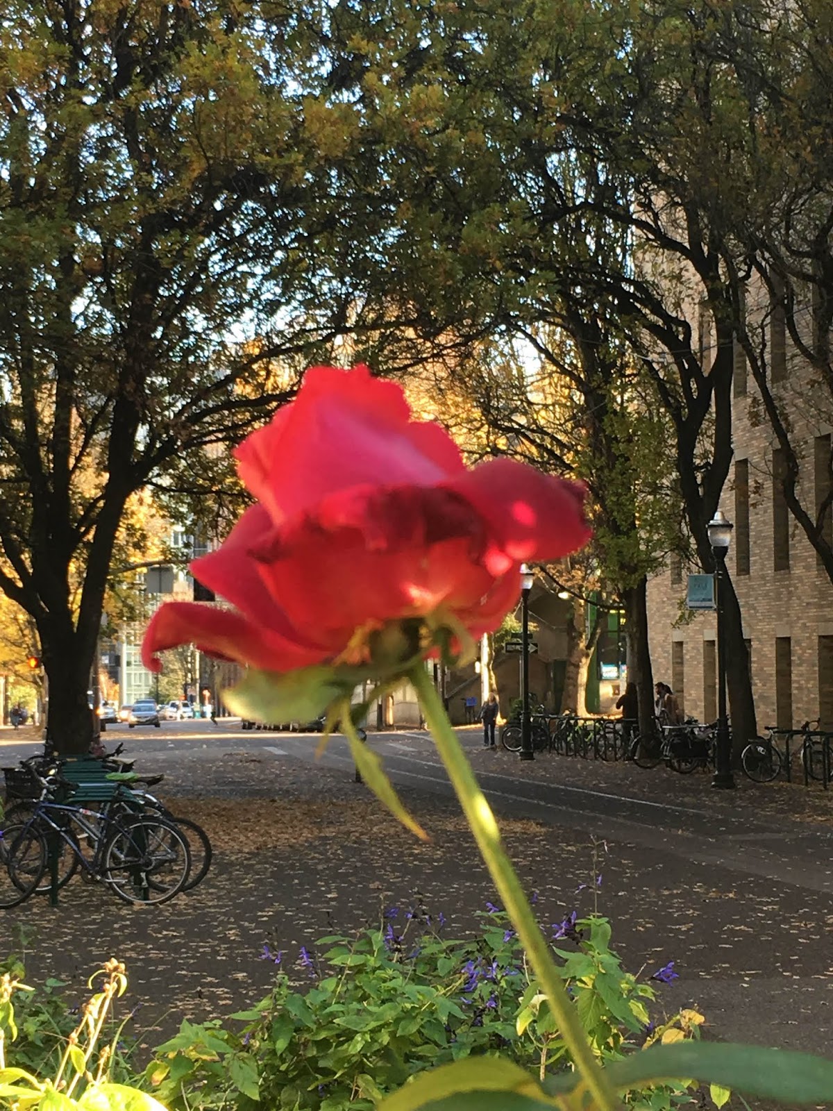 Sailor's photography: Best of contrast and balance