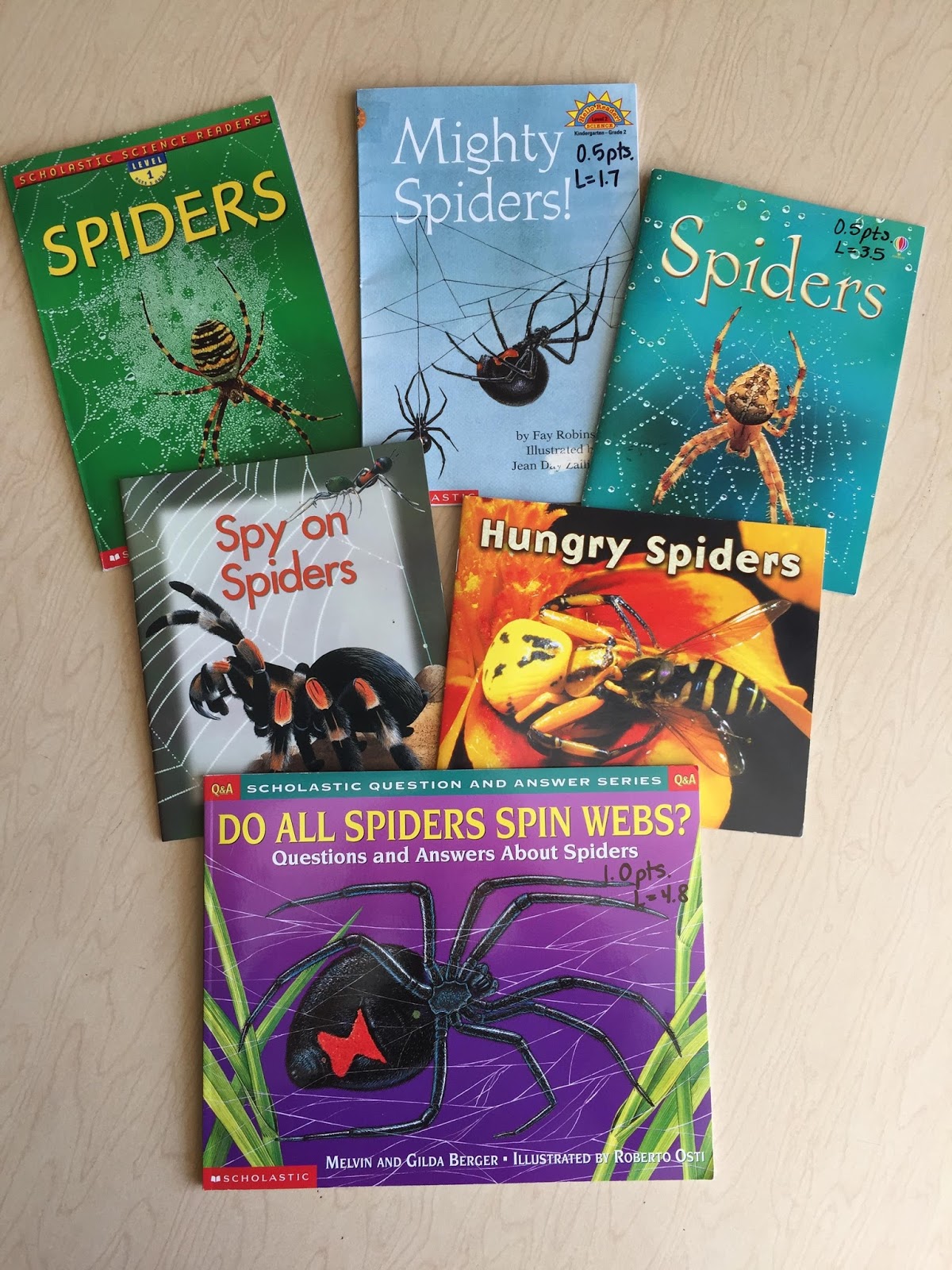 Teaching With Terhune: Spider Unit