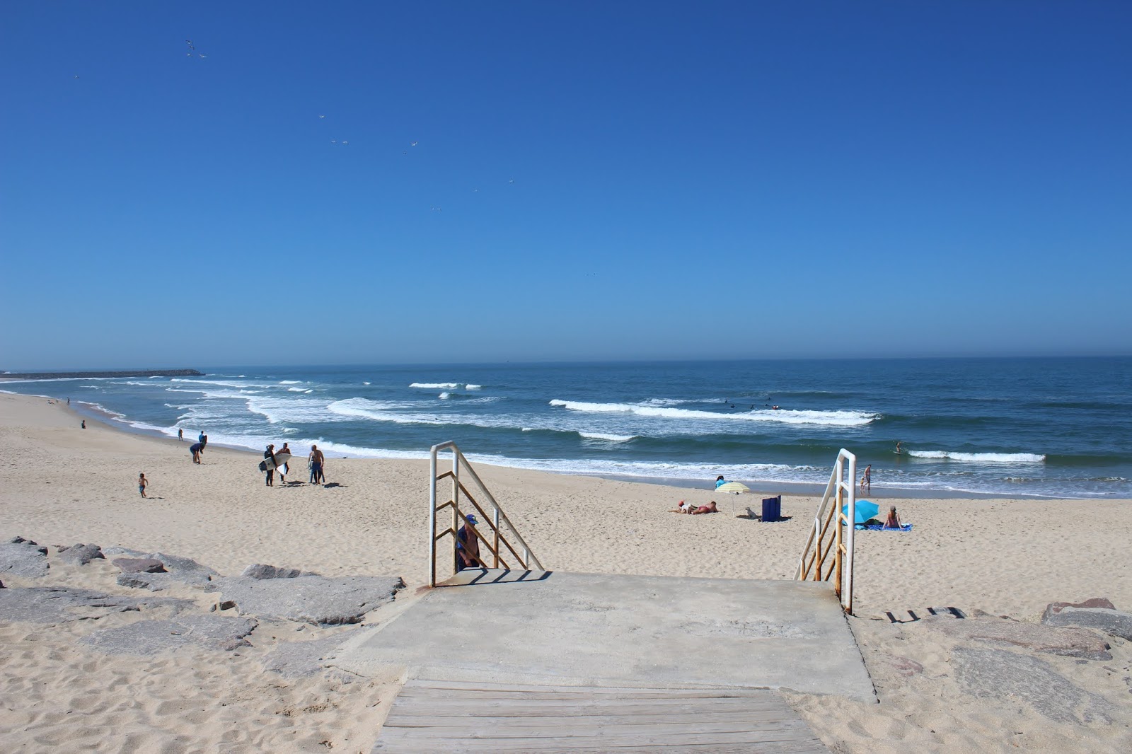 Portugaldenuncias: Lagoa de Paramos