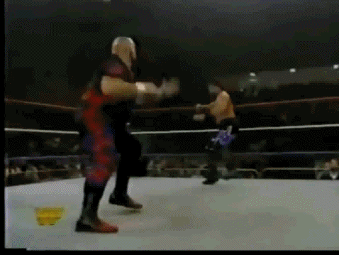 ProWresBlog: WWF Superstars 1/14/1995 - The Headshrinkers vs Bam Bam ...