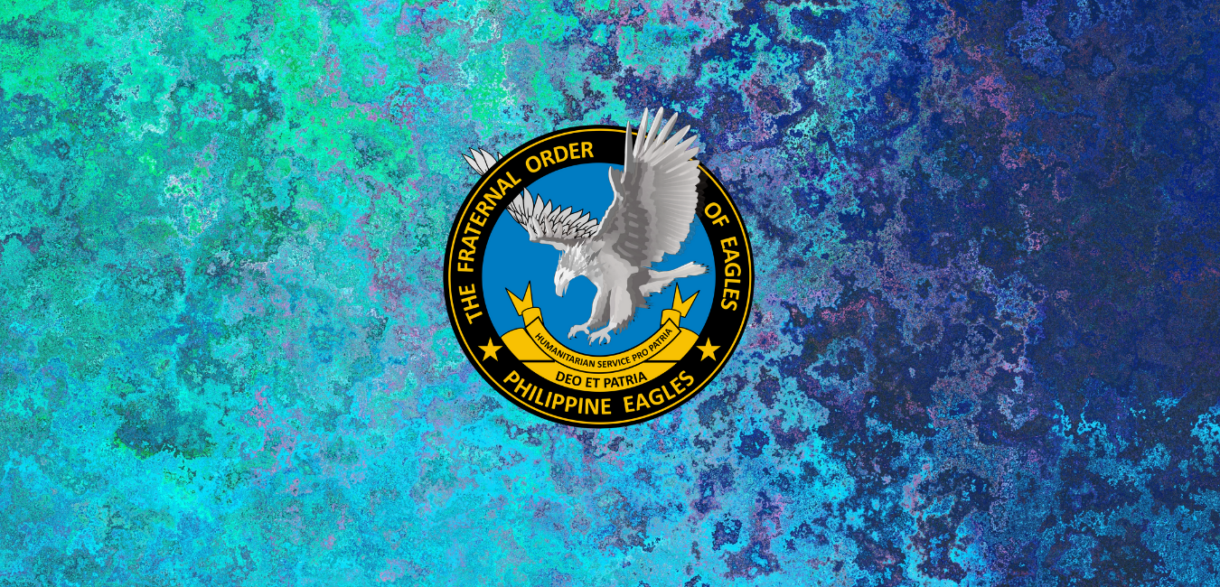 Free TFOE-PE Wallpapers 1-70