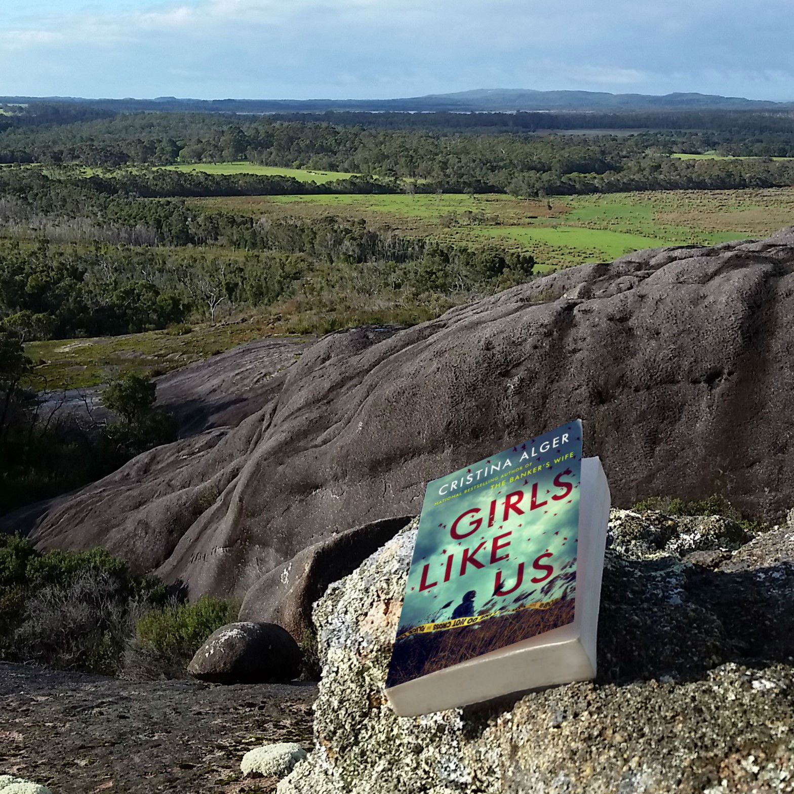 but books are better: Book Review: GIRLS LIKE US by Christina Alger