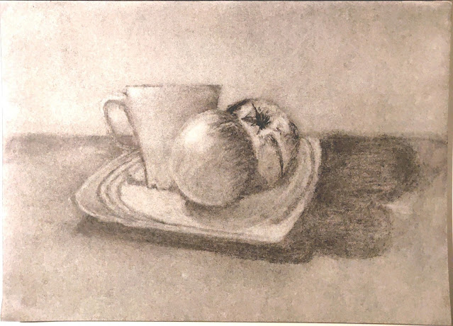 SESIÓN 11. DIBUJO AL NATURAL