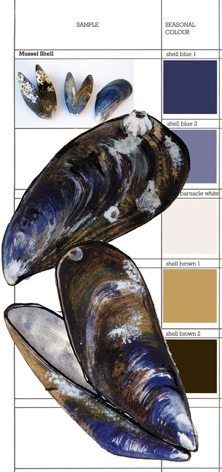 Planet Sam: Colour from the season - Mussel shell blue