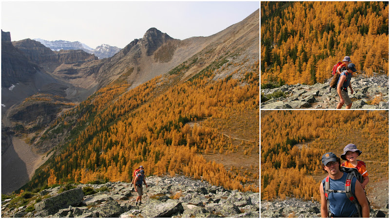 Family Adventures in the Canadian Rockies: Dancing With Larches