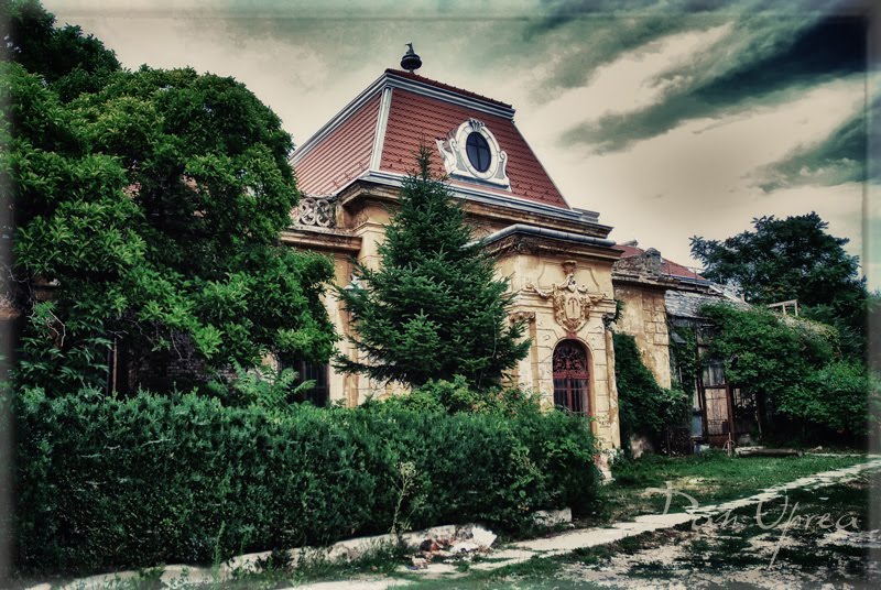 Castelul Stubenberg din Săcueni |Buchisind scrisul cu lumina