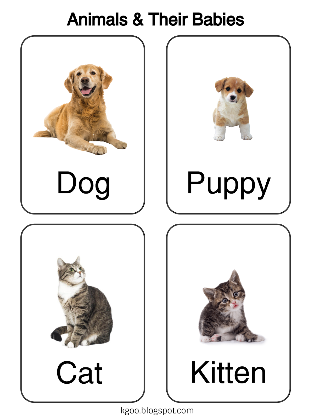 Printable Pictures of Animals and Their Babies pdf