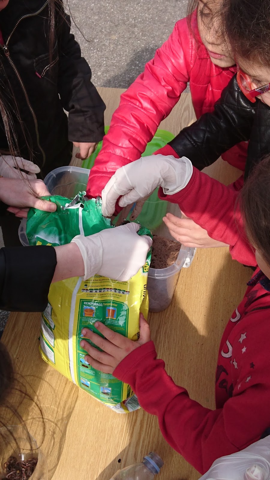 Association Khamsa: Khamsa a la main verte