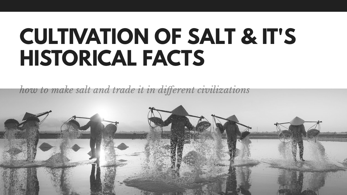 Cultivation of salt & it's historical facts