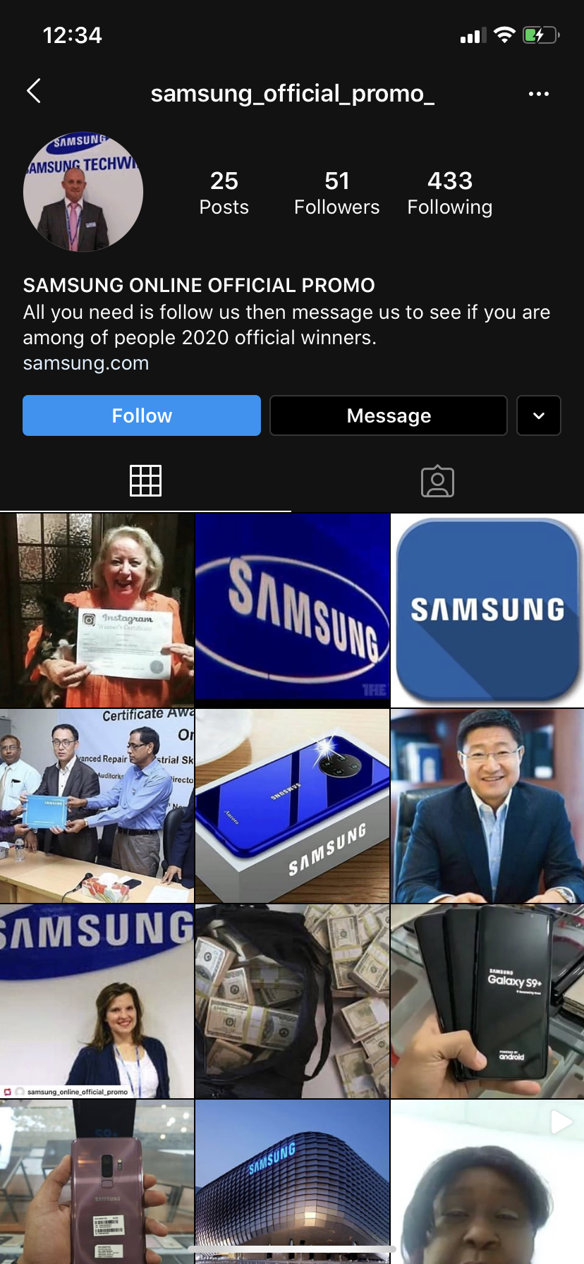 InstaScams: Fake Promotion Profiles