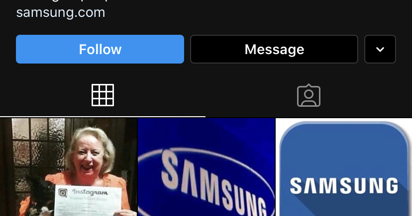 InstaScams: Fake Promotion Profiles