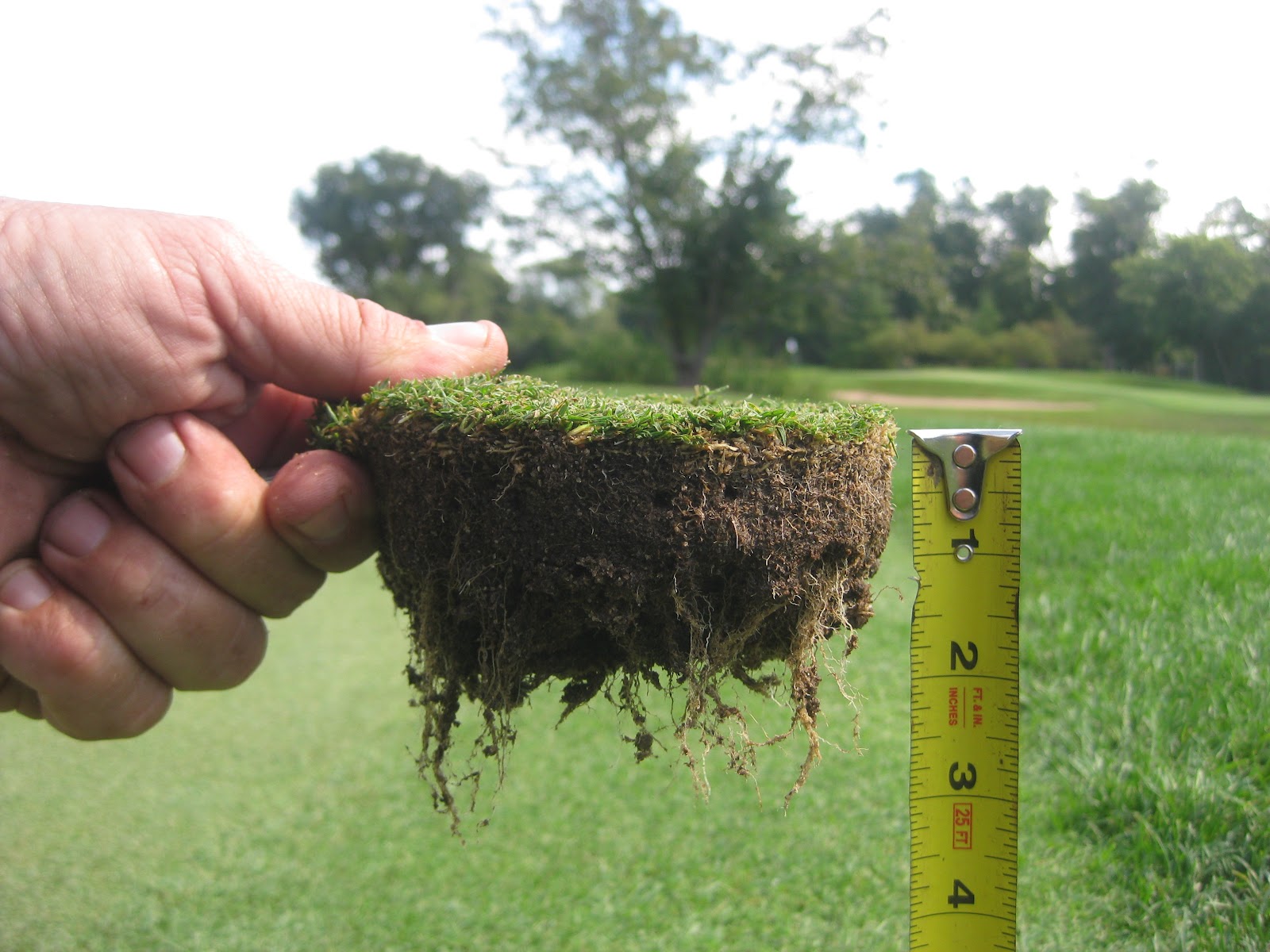 Northmoor Country Club Golf Course Operations: Why are the white greens ...