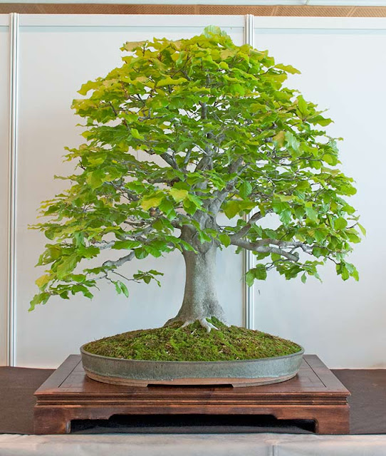 Walter's Travelogues: May 2012