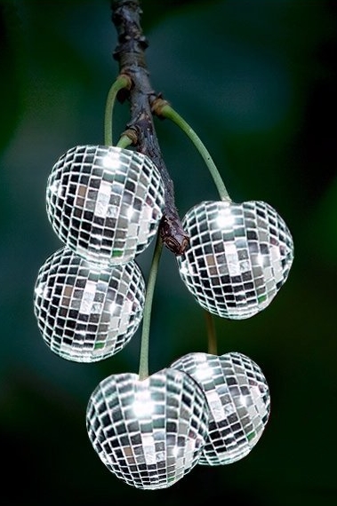 Ludi Kuvar - Ludi crtani filmovi i anime - Crazy !: Ludi Kuvar - Ludi ...