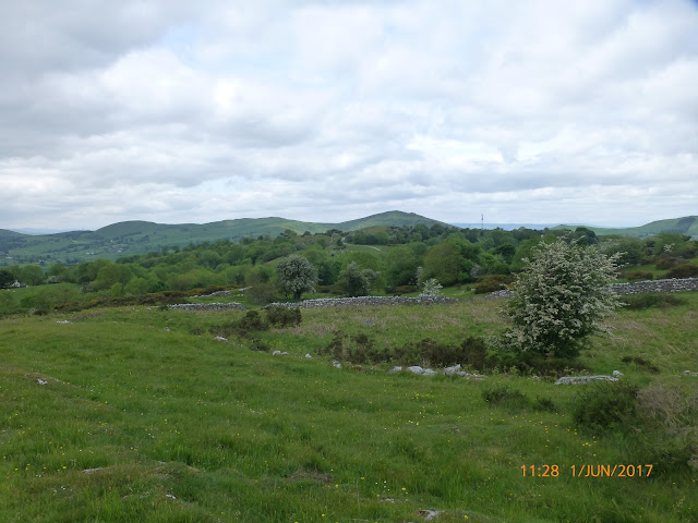 Harris Hikers: Llanarmon-yn-Ial, Eryrys and Around Moel Gyw 1st June 2017