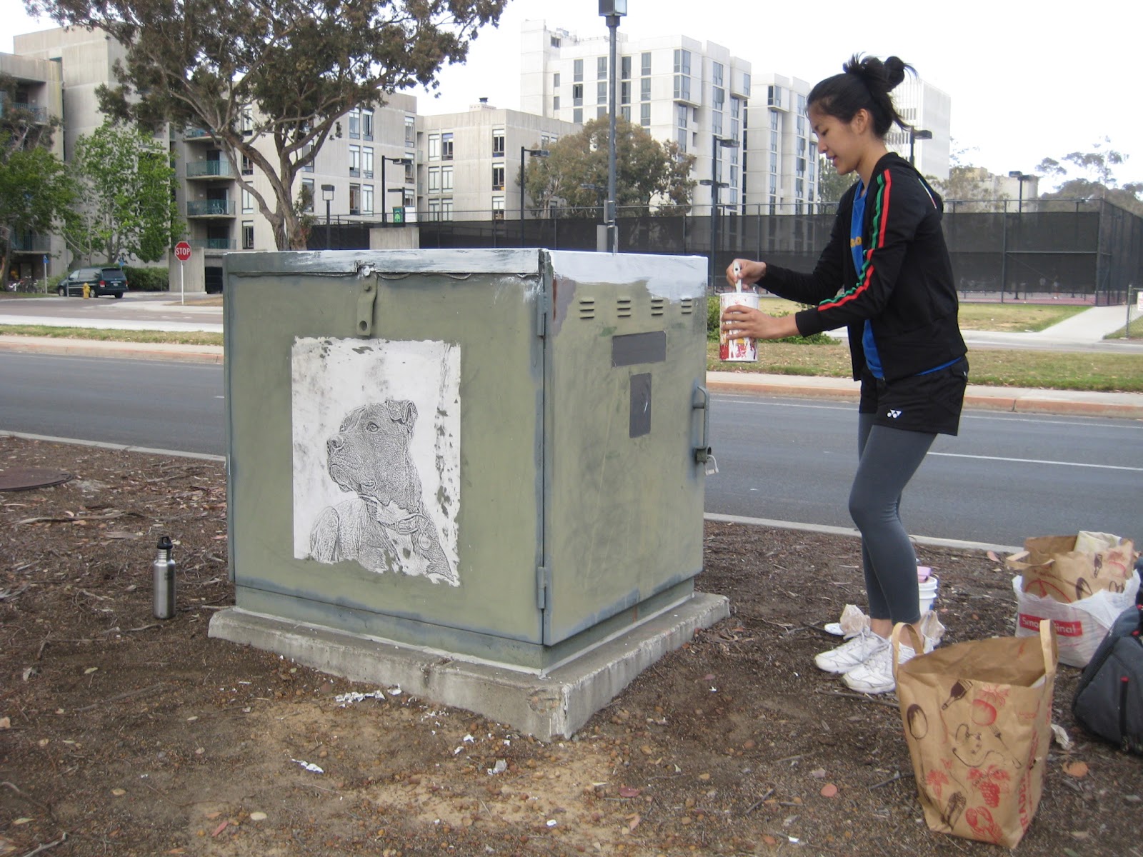 Martina Lo : Electrical Box Art Project