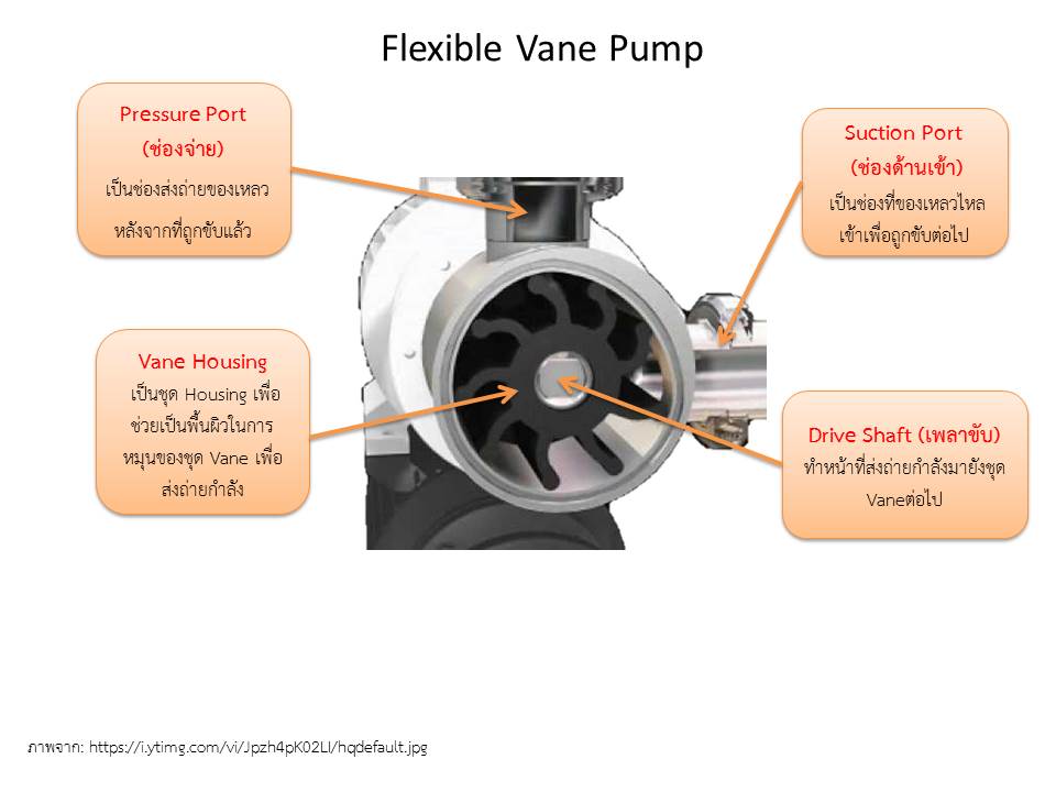 งานวิจัยการสร้างสื่อการเรียนการสอนบนระบบอินเตอร์เน็ต: Vane Pump