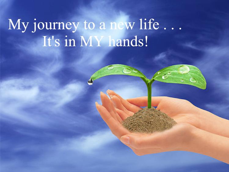 Linda's Bee Hive: Journey to a New Life. . . take 2