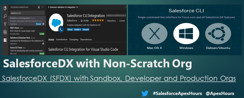 Amit Salesforce Salesforce Tutorial Salesforcedx For Non Scratch Org