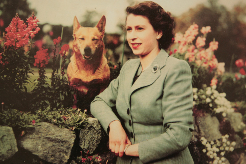 Rose: Confessions and Liebster Blog