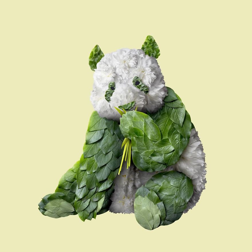 Clancy Tucker's Blog: 26 May 2020 - Delicate Animal Portraits Created ...