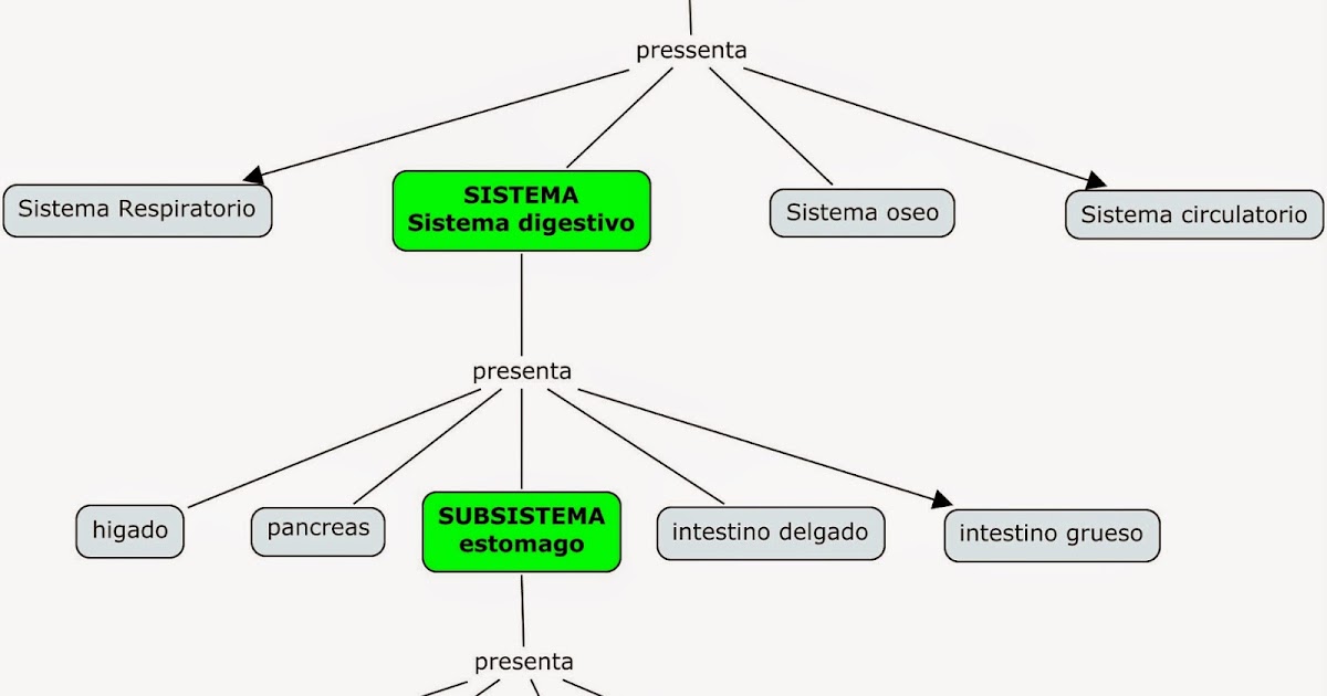 TEORÍA GENERAL DE SISTEMAS : 2.2 organizacion de los sistemas complejos