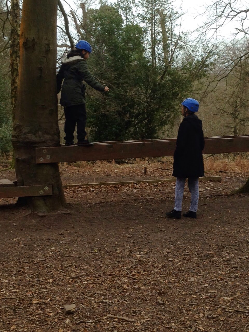 Anisha: Residental at Hindleap Warren