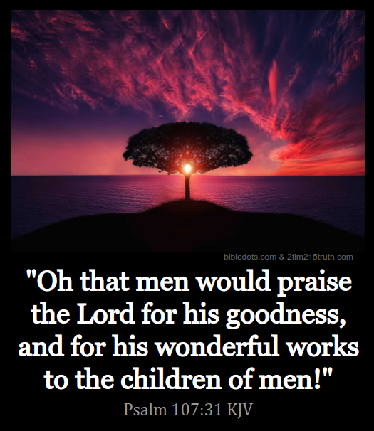 2-timothy-2-15-truth-verse-of-the-day-psalm-107-31-kjv