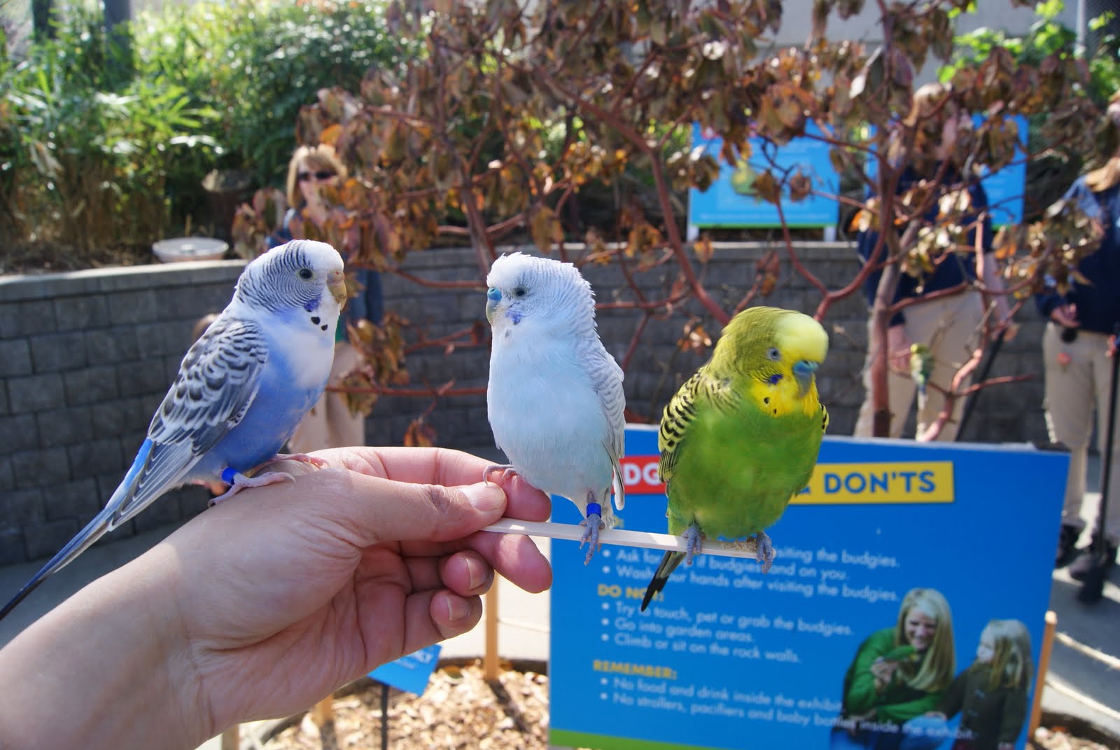 My Friendship with Food: Point Defiance Zoo & Cake That Reminds Us of ...