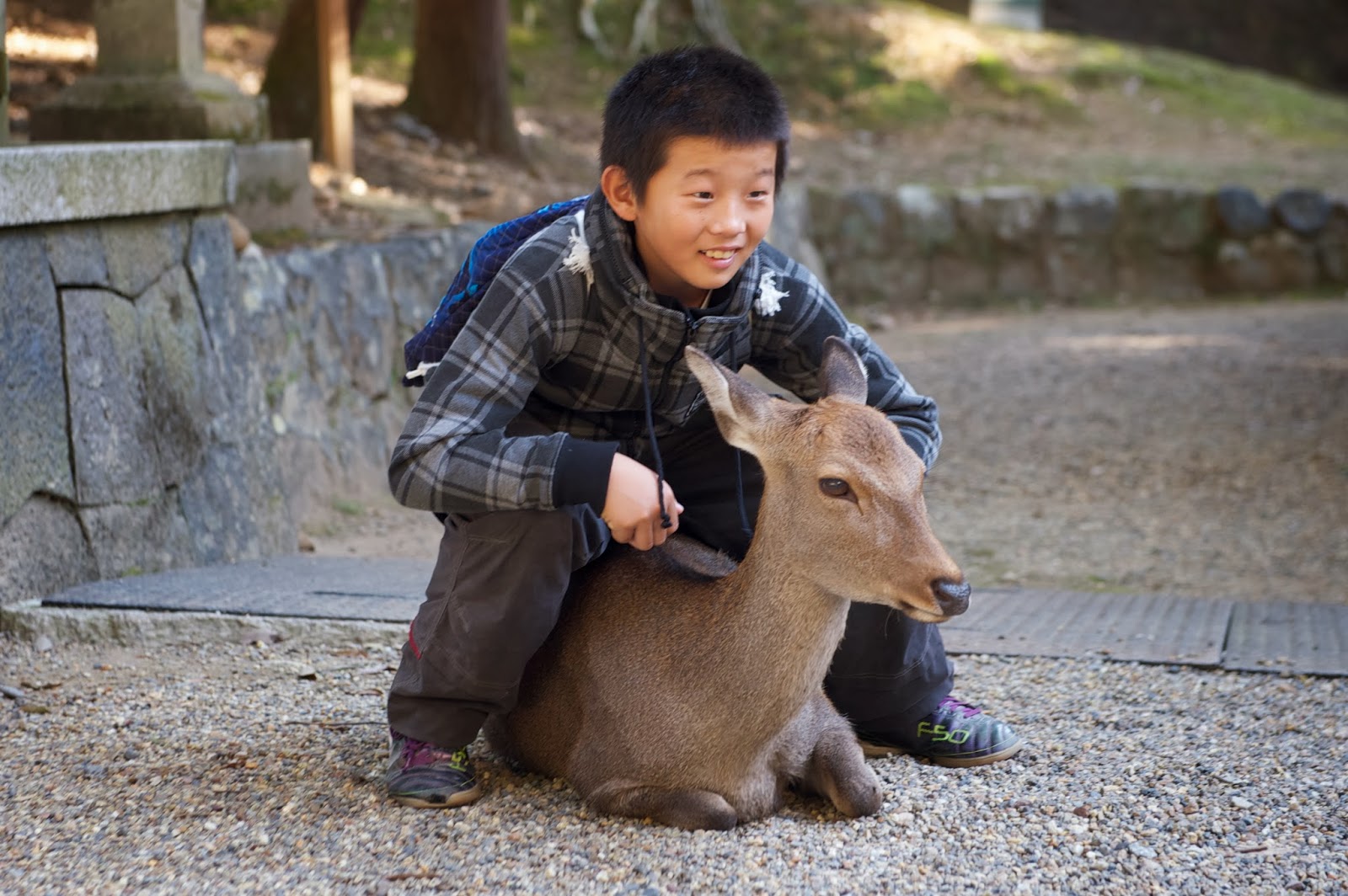 brommel: Deer riding