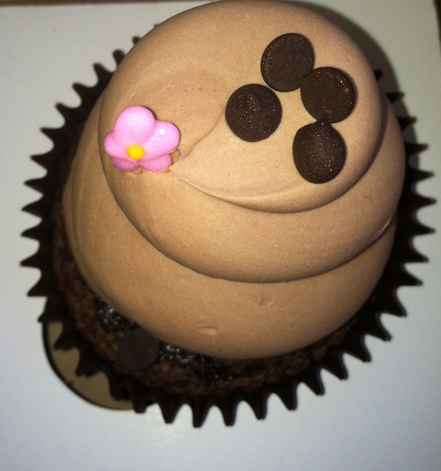 Real College Student of Atlanta: Eating in ATL {CamiCakes Cupcakes}