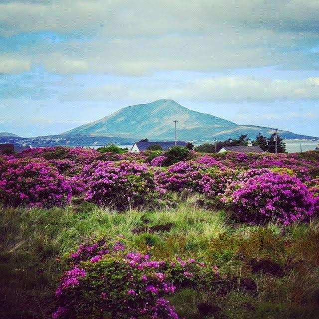 106 Pictures of Ireland That Will Make You Feel Like You're There