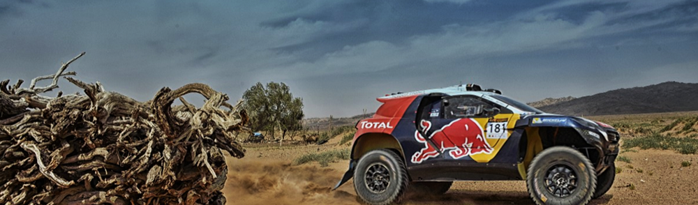 .: 2008 DKR-China Silk Road Rally . SS4: ALXA ZUOQI EJI - NAQI - 1er y ...