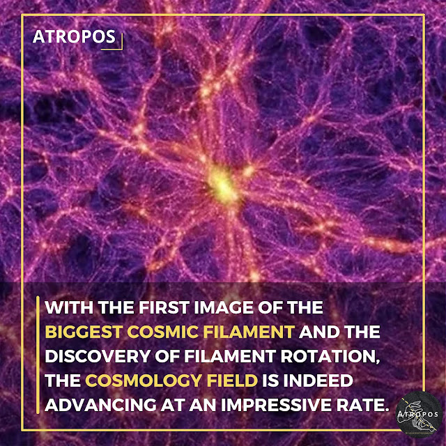 Cosmic Filaments