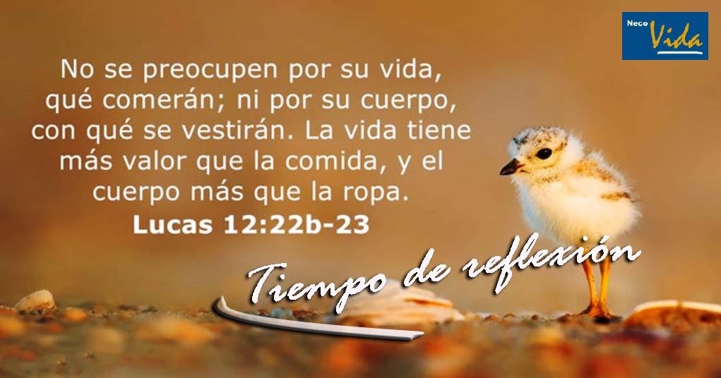 Neco Vida: Tiempo... Lucas 12. 22
