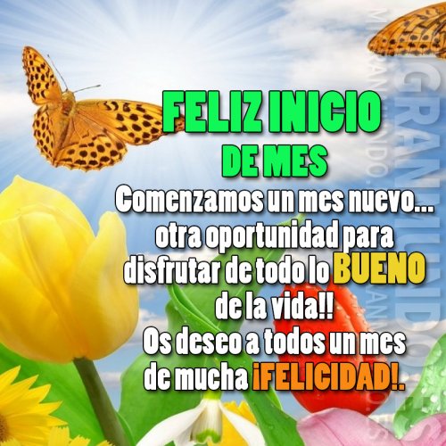 Frases Bonitas Para Facebook