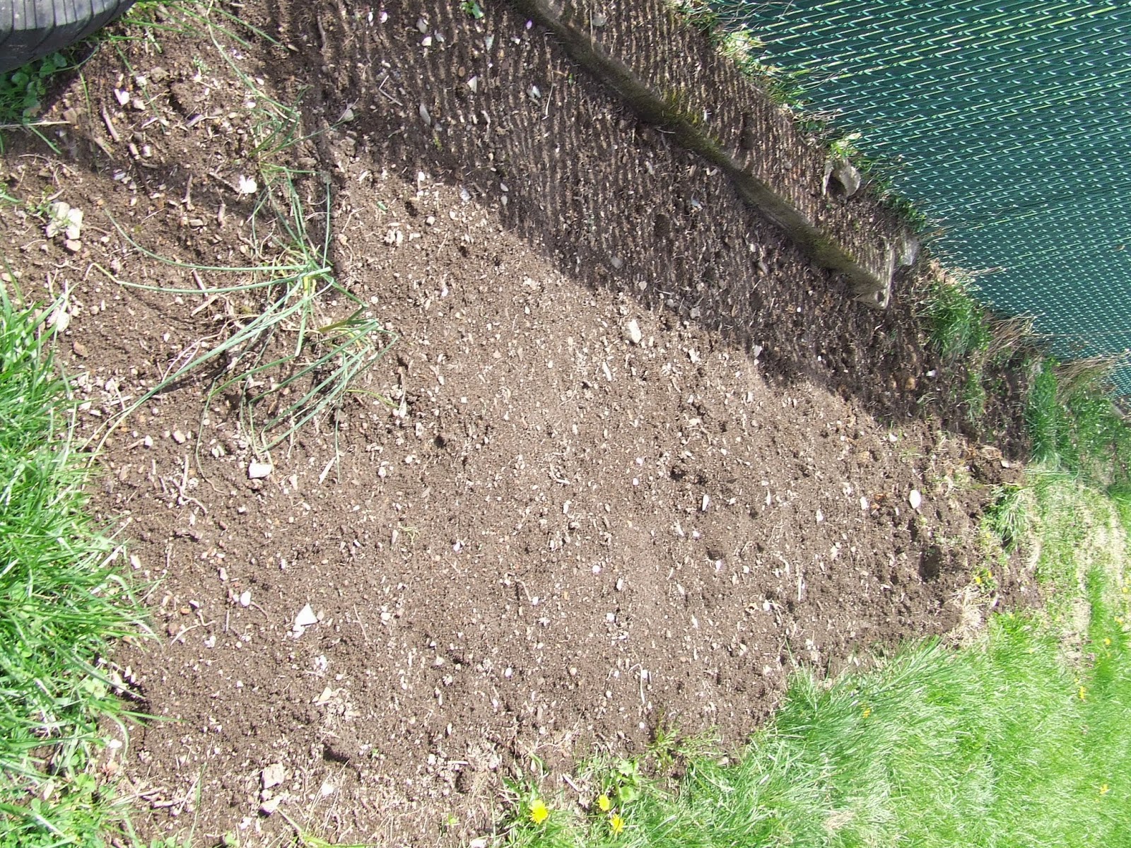 My Little Patch of Dirt WV: Planting My Little Patch of Dirt!