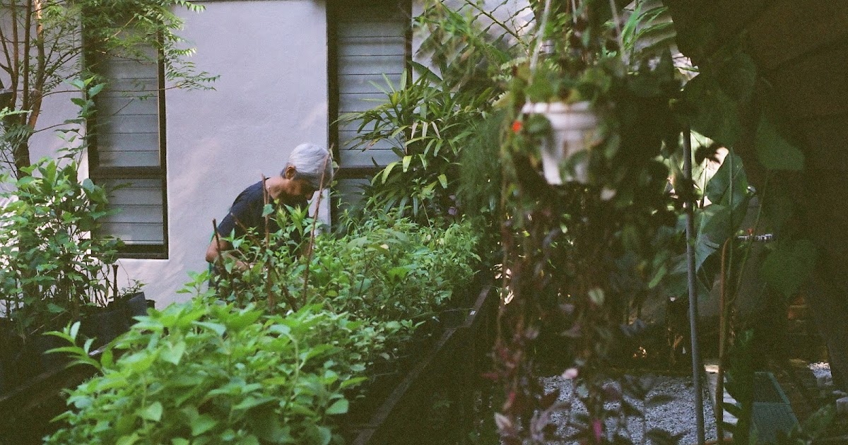 Baida Hercus - On saving the world one seedling at a time