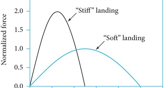 Dr. Knight's Insights: Kinesiology and the 2016 Olympics Part II ...