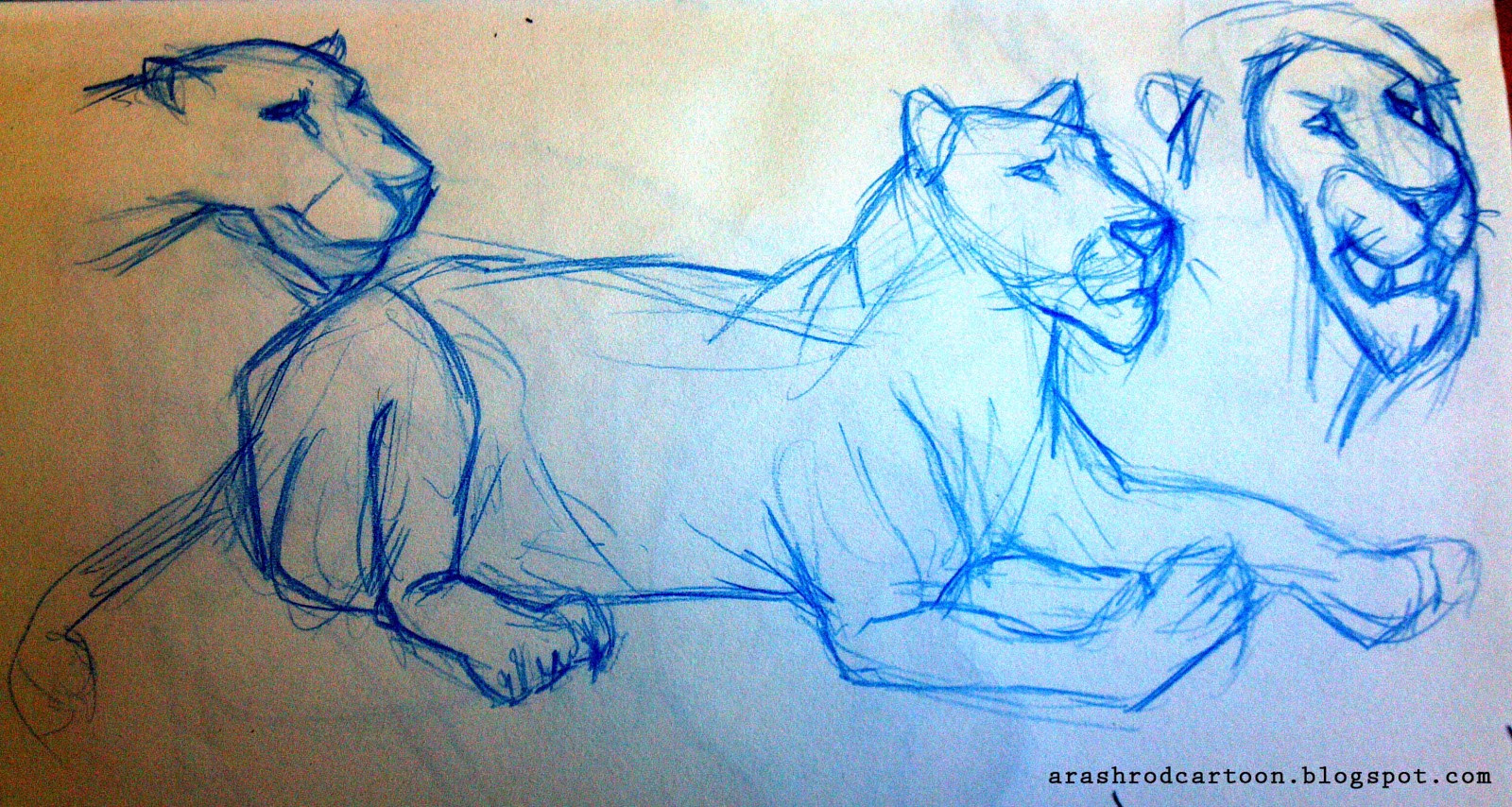 Arash Rod's Art: Animal Drawing #1