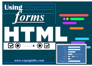 Text Box, Check Box and Combo Box in HTML