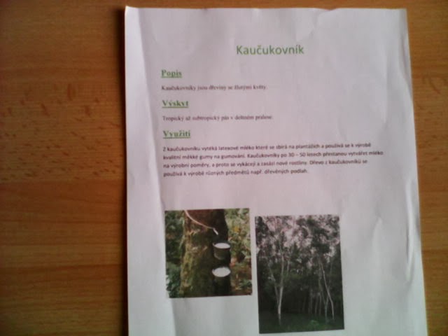 Třída 5. A: Tropický pás