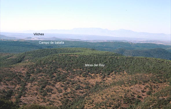 Miranda del Rey: Miranda del Rey en la Batalla de las Navas de Tolosa