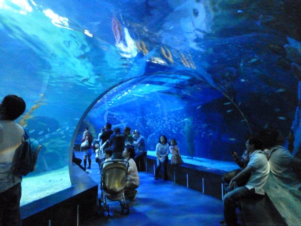 Heart & Seoul: The Beaches of Busan