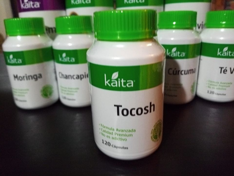 Plantas que curan del PERU : Tocosh: Antibiótico Penicilina natural 120 ...