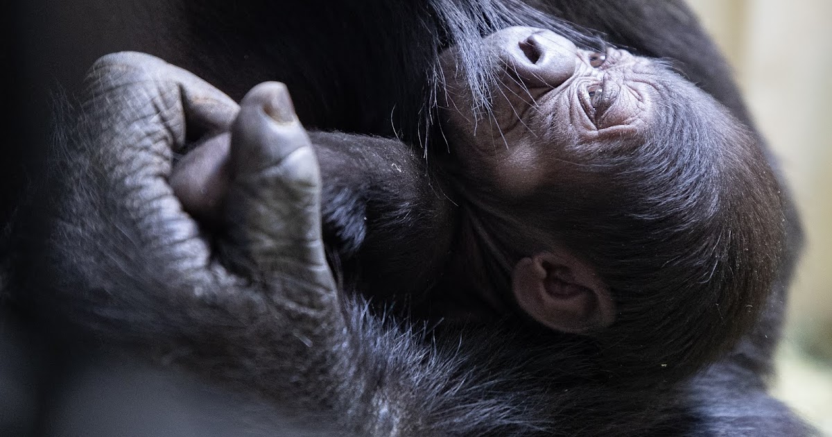 Uzumma and baby thriving and bonding