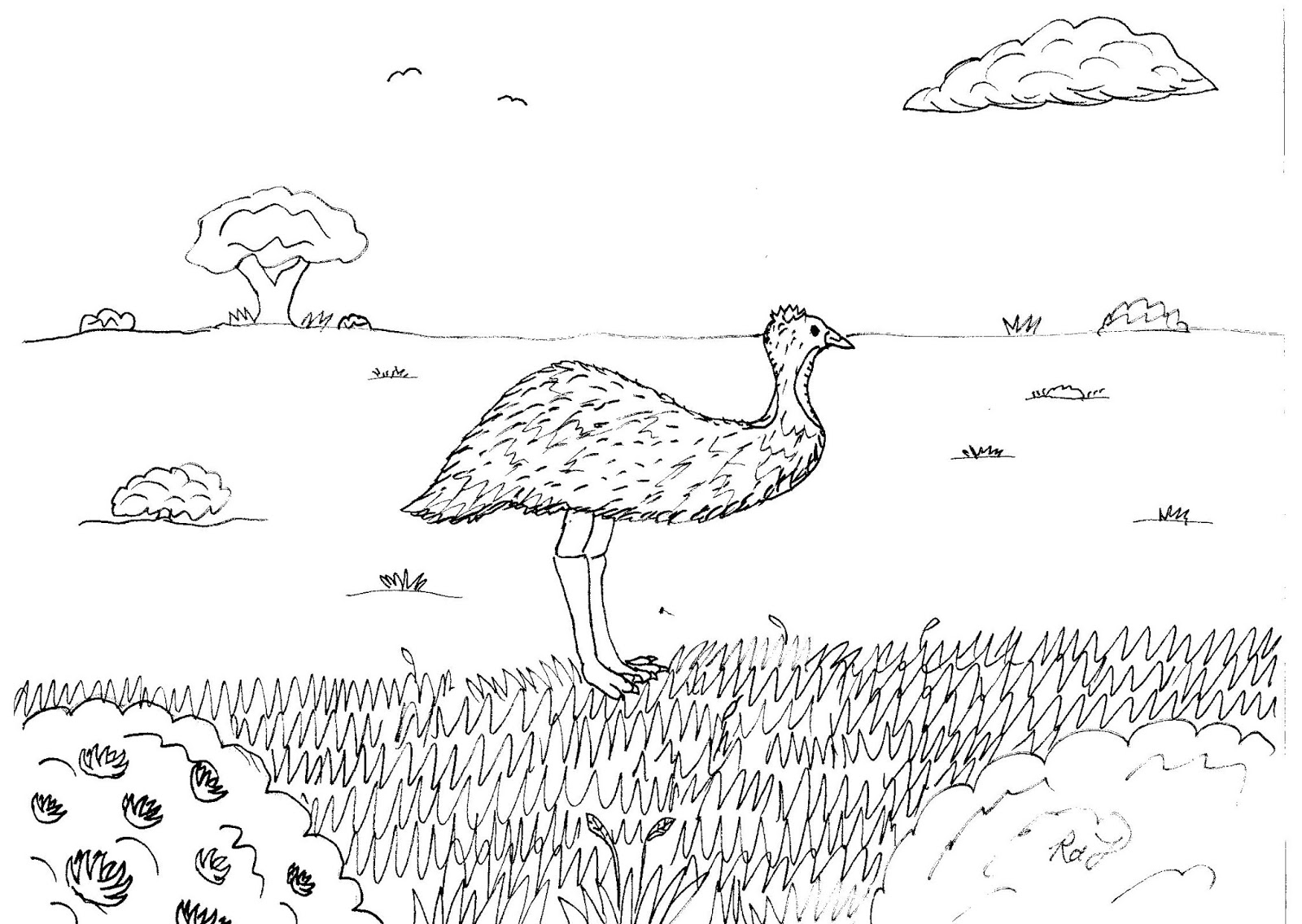Robin's Great Coloring Pages: Birds of Australia Coloring Pages