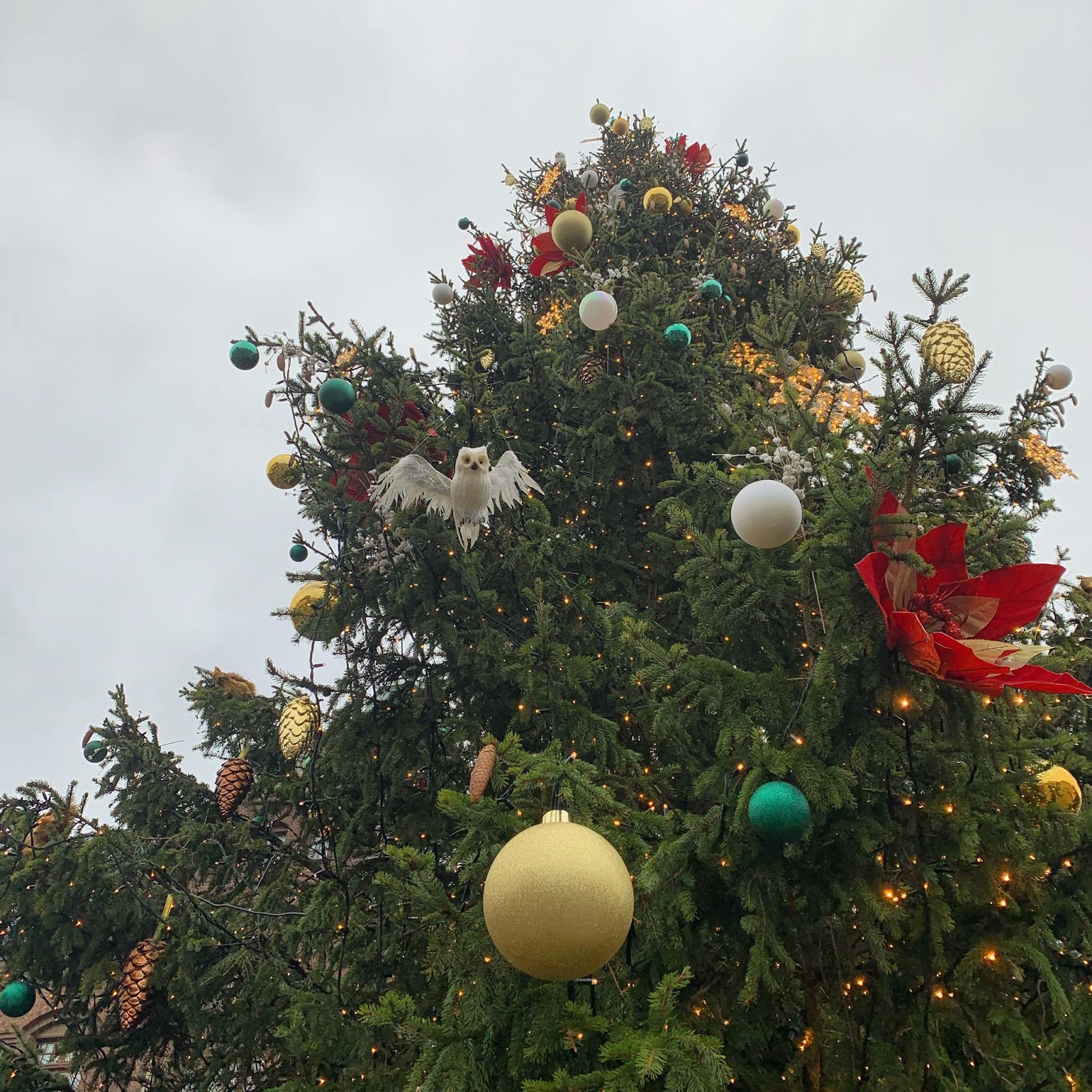 Destination Lund Sweden: Tourism, history and culture: Christmas tree ...