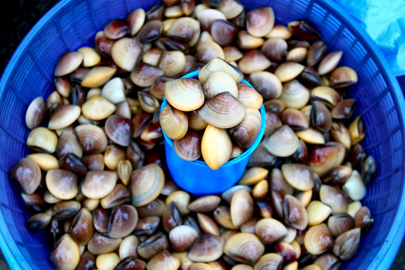 A quick kinhason roundup | dead-hungry